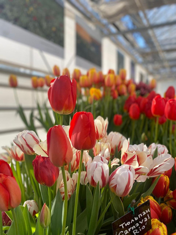 IMG 20240312 WA0041 — Postimages