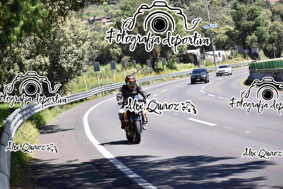 AVQ 0035 — Postimages