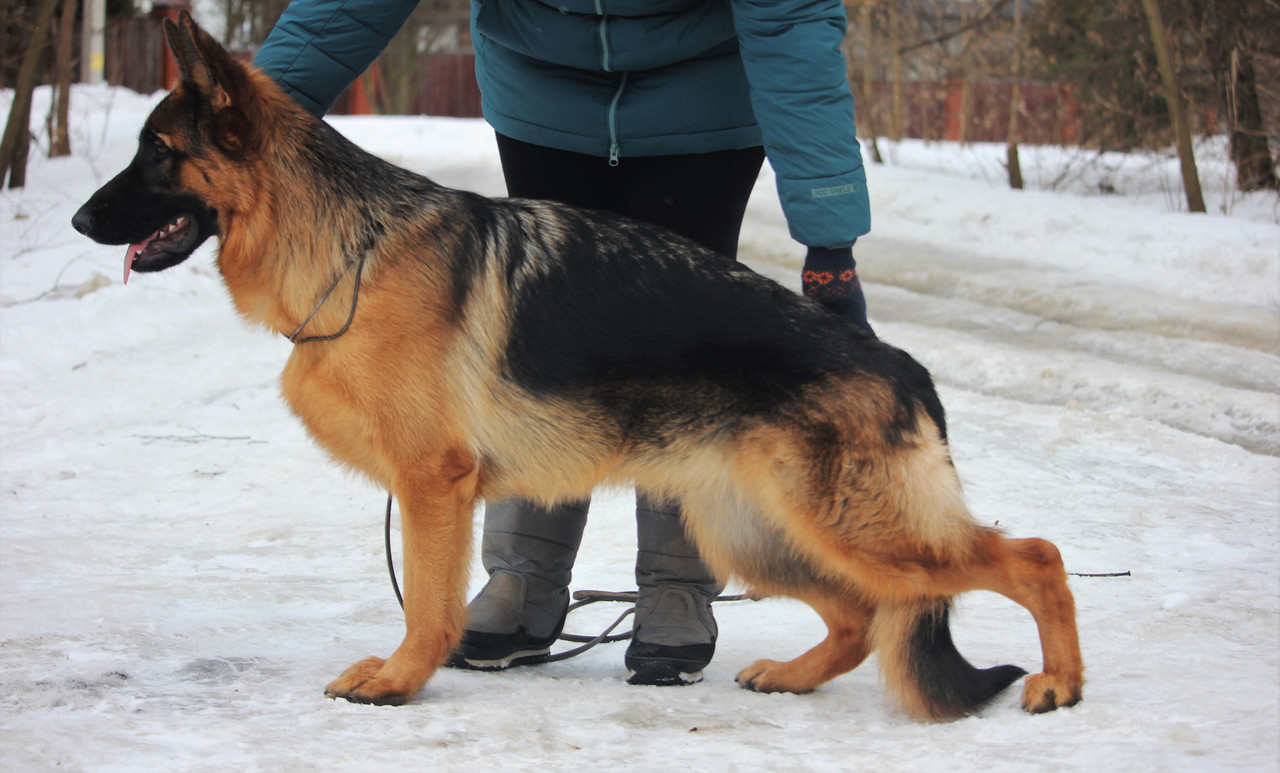 IMG 4560 — Postimages