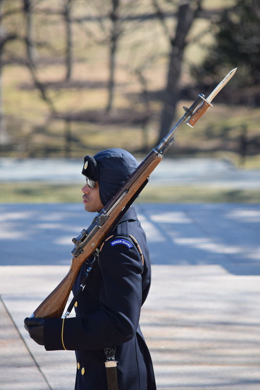 DSC 0526 — Postimages