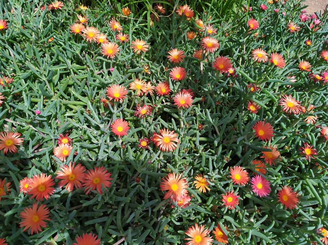 IMG 20230315 150007 — Postimages