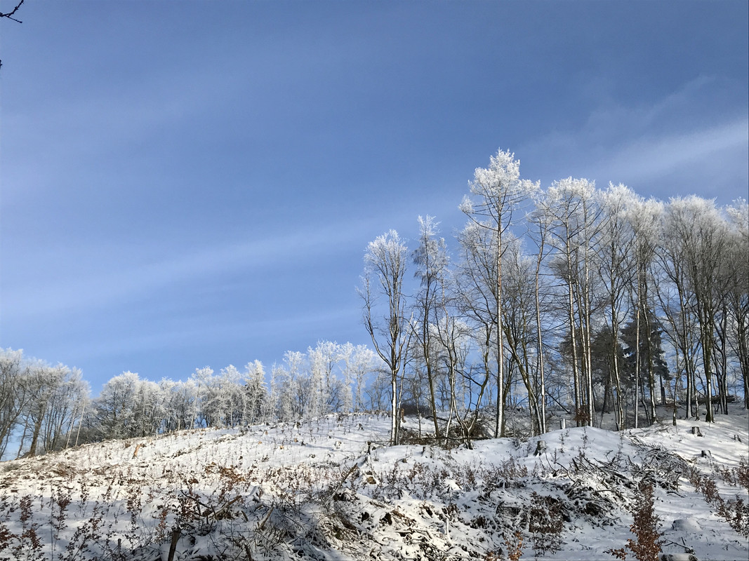 41 B4 F83 A 307 D 4593 B6 F0 D3554740 DD2 F — Postimages