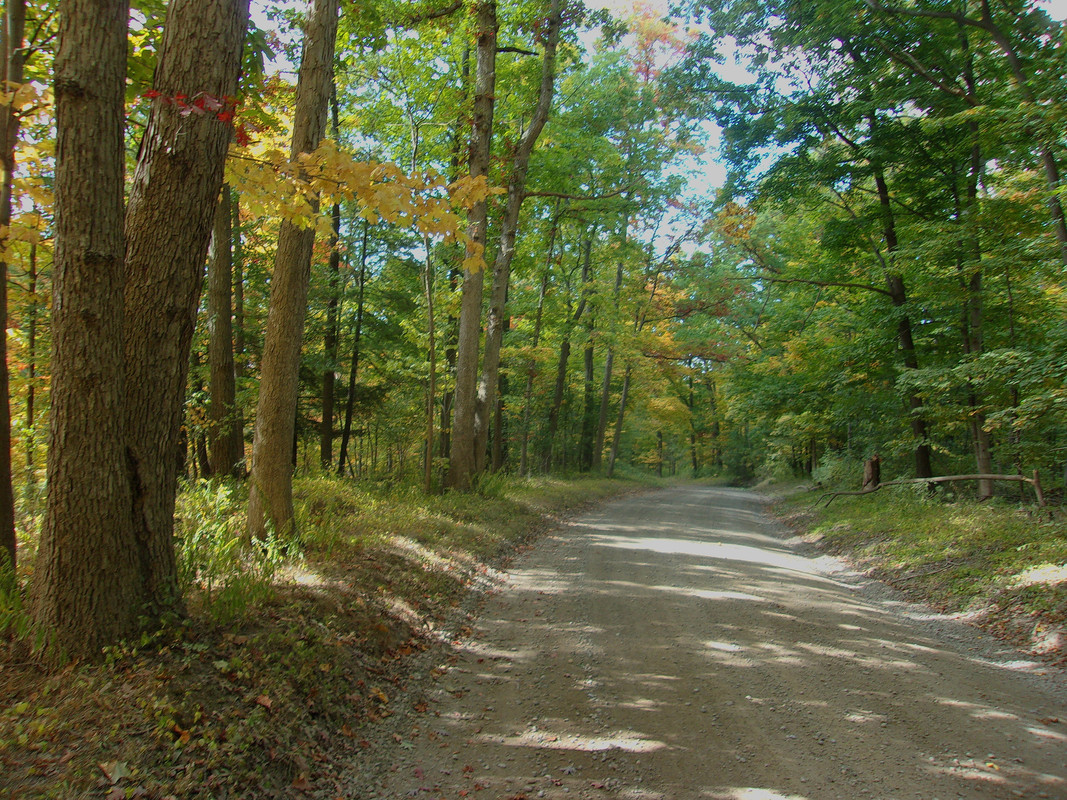 Adamson dirt and trunk road — Postimages