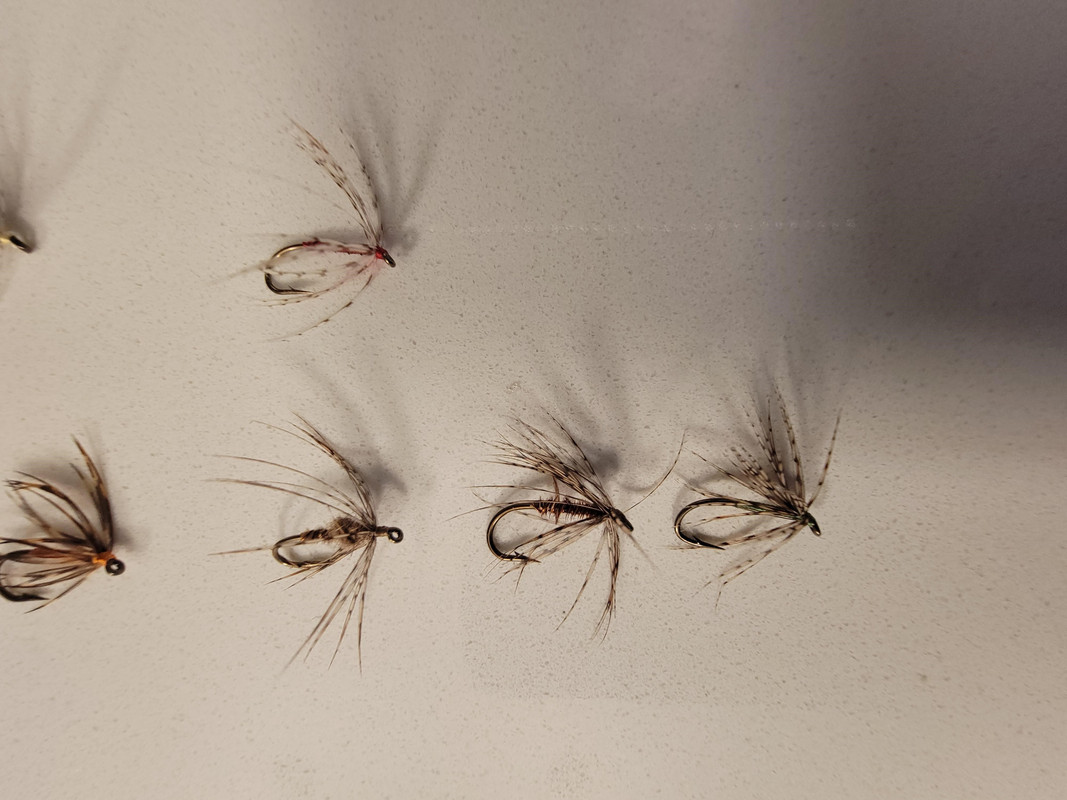 sm flies 3 — Postimages