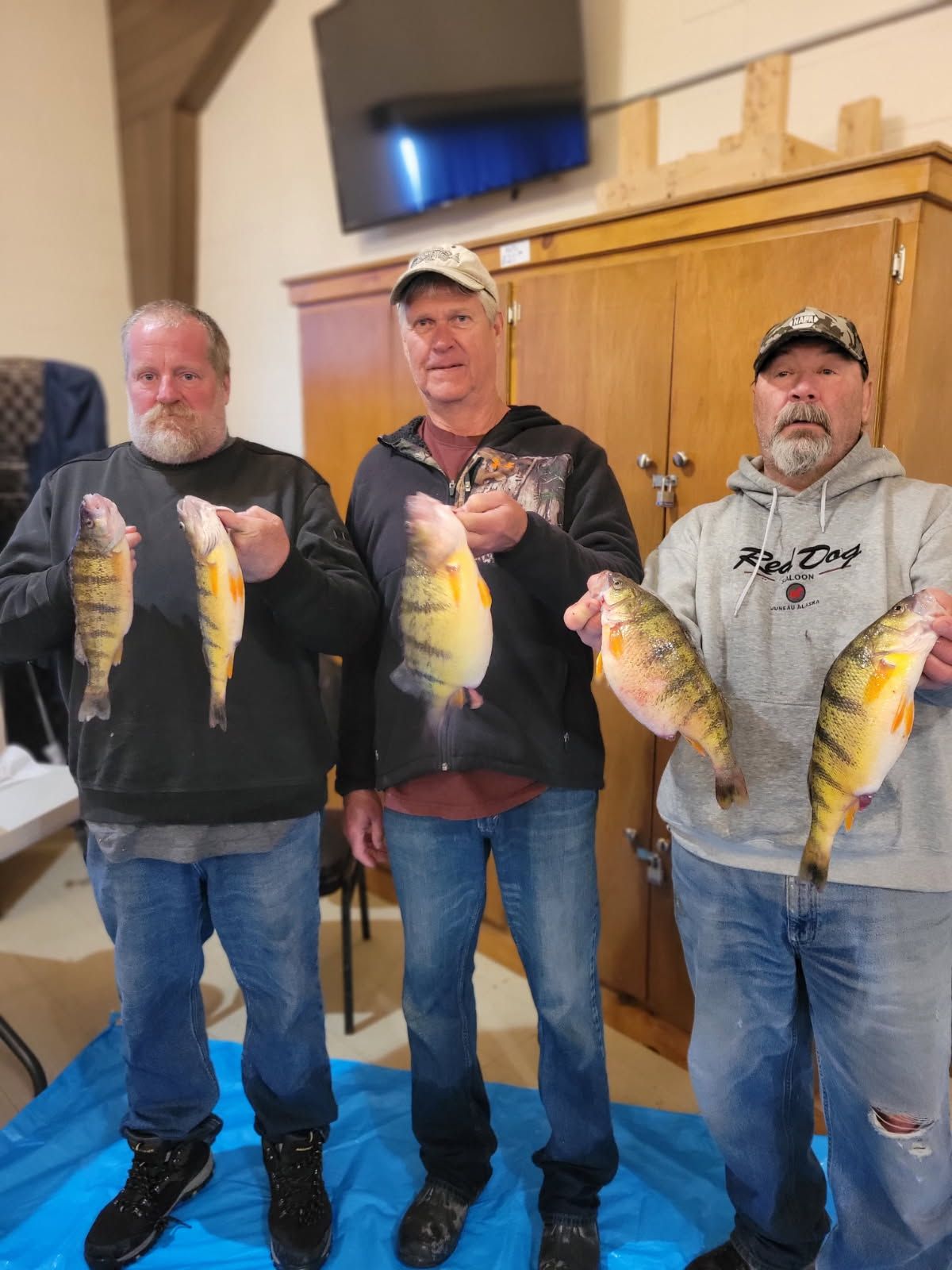 494680452 10233536168818618 963312776740995311 nbig perch — Postimages