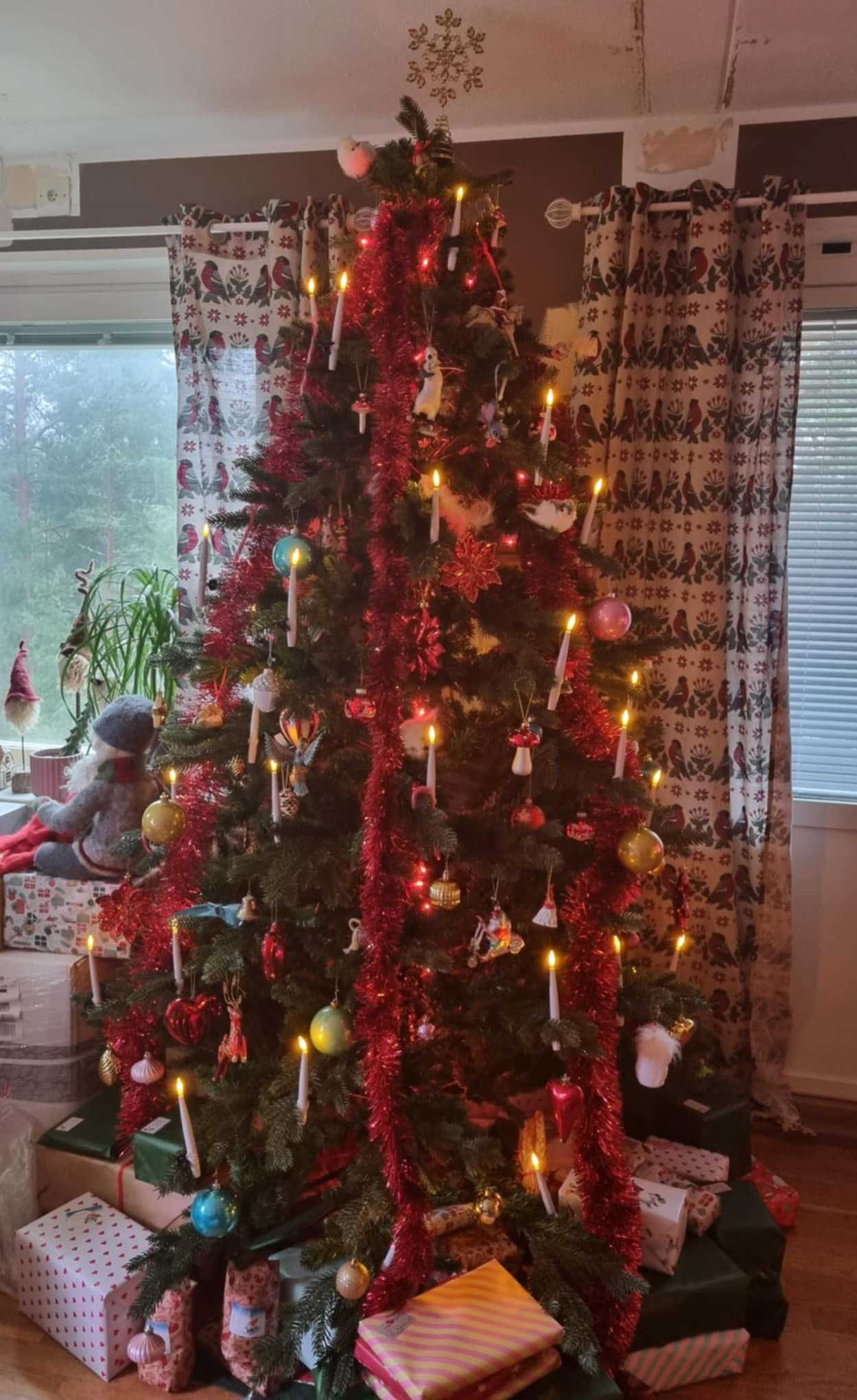 Julgran 2024 — Postimages