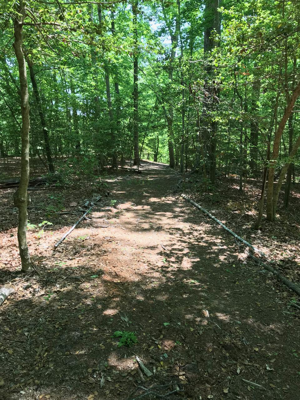 IMG 0100 — Postimages