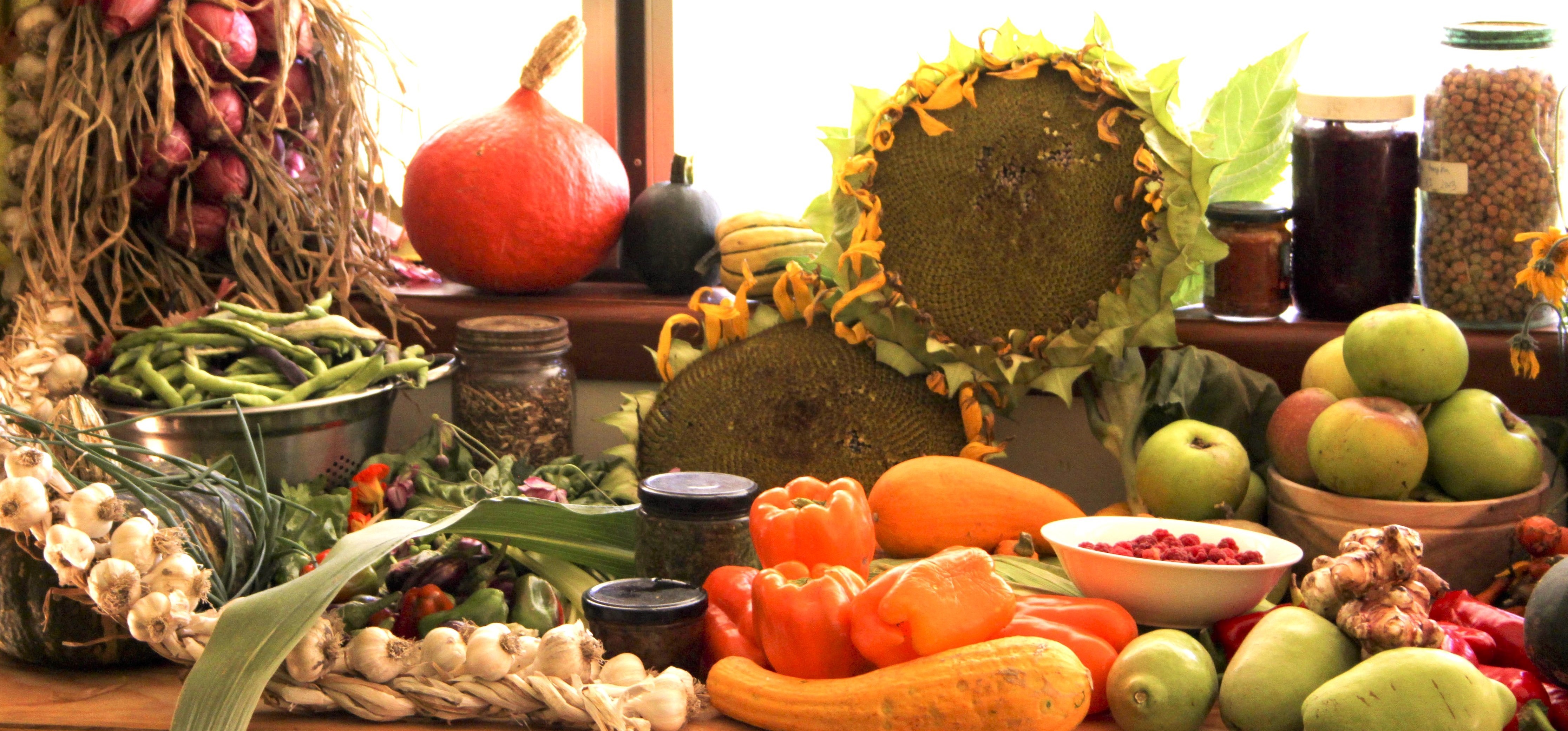 Harvest Seed Pic 2 — Postimages