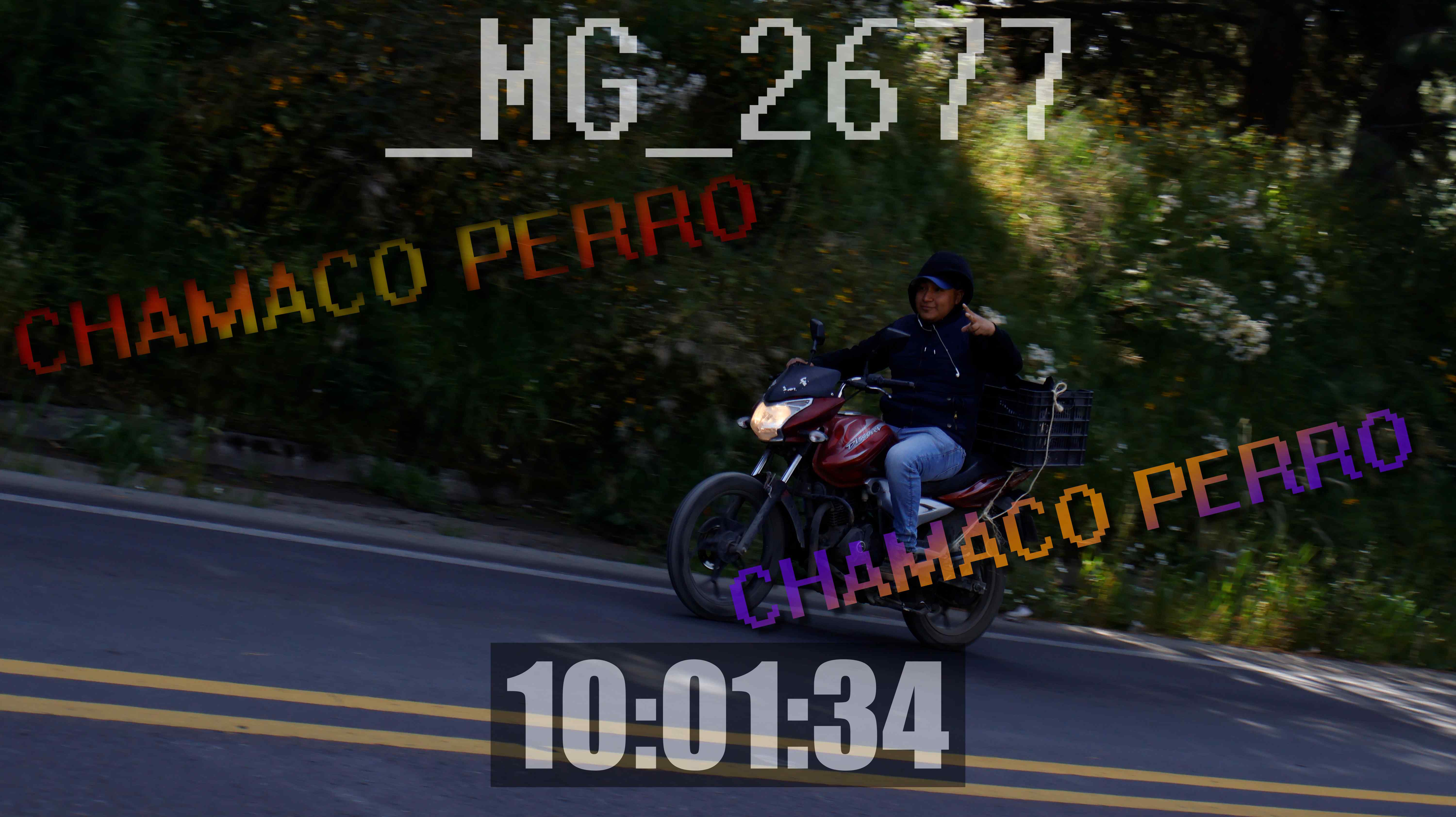 Muestra MG 2677 — Postimages