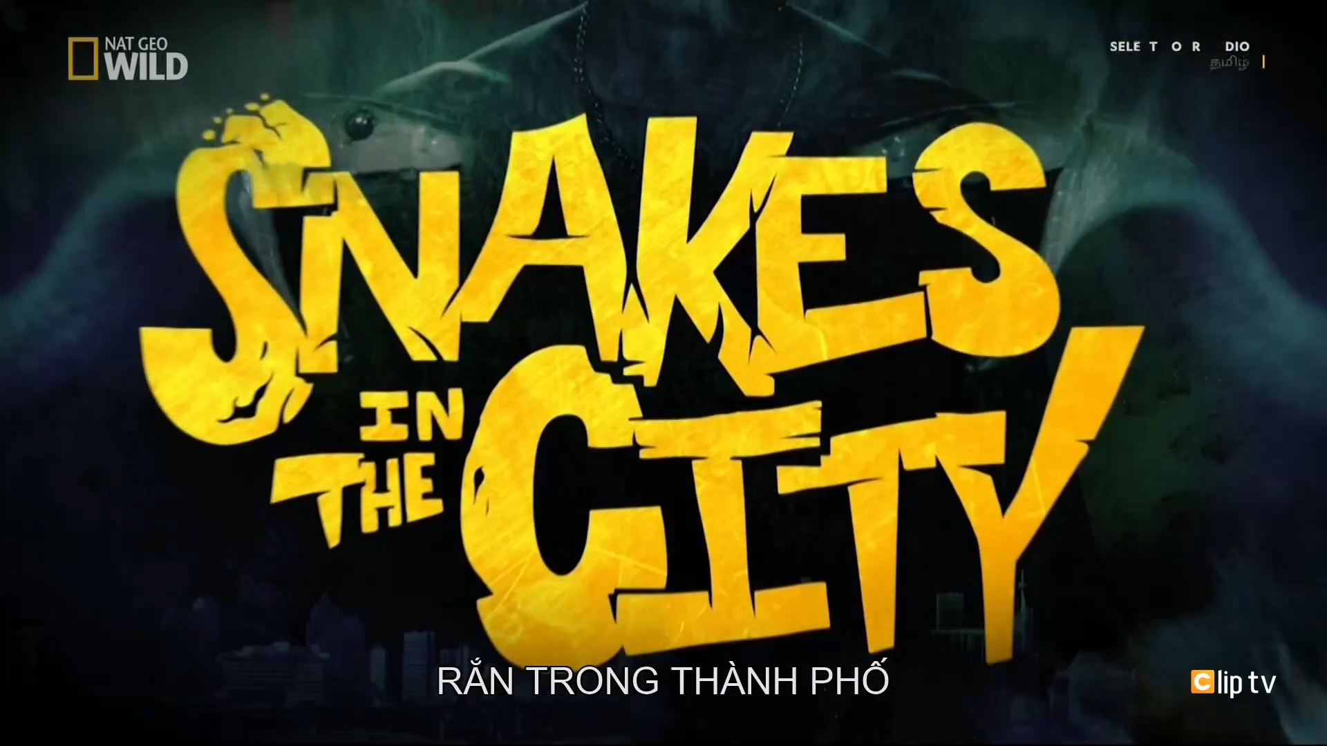 Snake City Compilations Summer of Siouxsie 1080p HDTV AAC 2 0 x264 HDVN ...