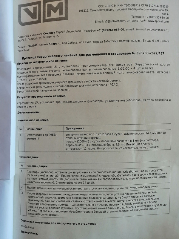 IMG 20220812 112654 — Postimages