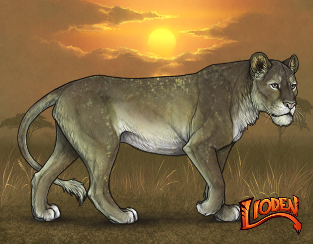 (CANCELED) :|: Lioden