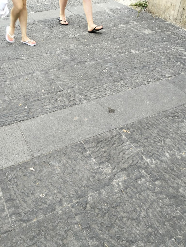 ago17 2022 (81) — Postimages