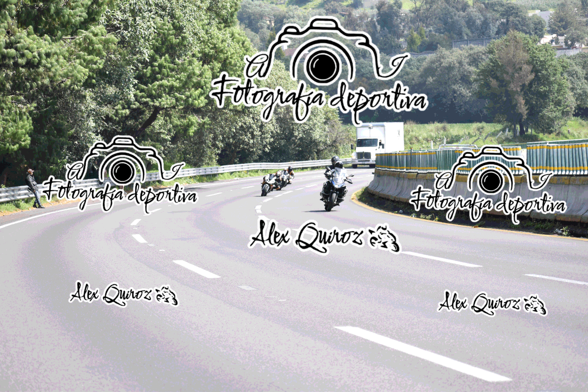 DSC 1103 — Postimages