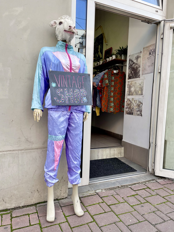 2022 08 23 17 10 38 IMG 3993 — Postimages