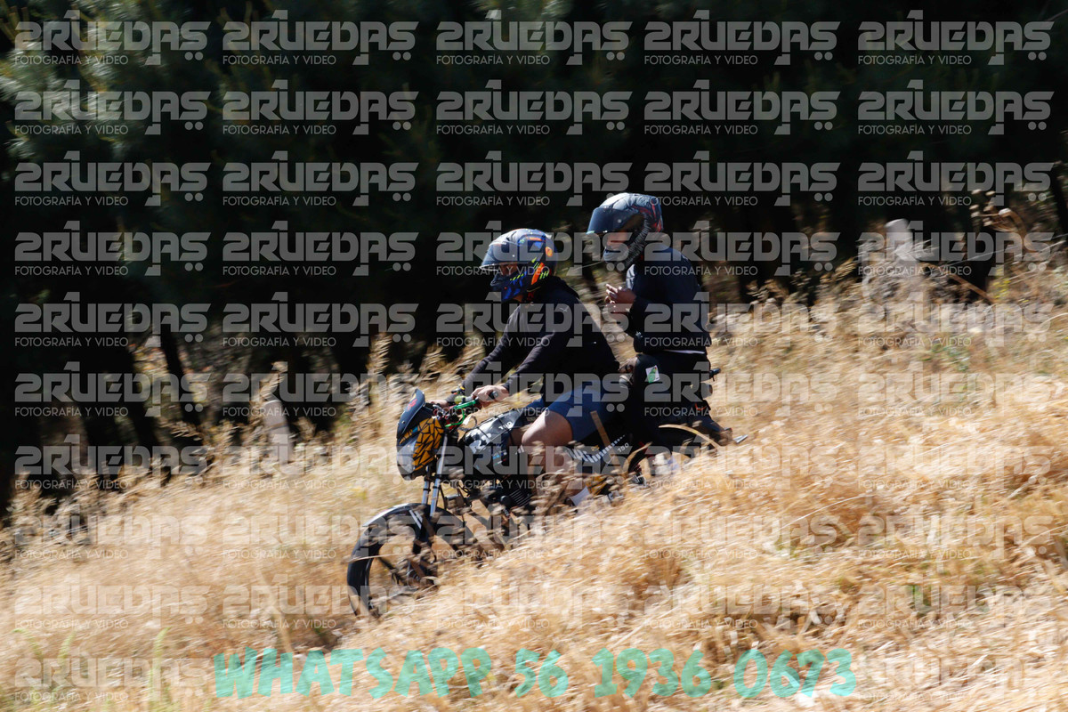 MG 0422 — Postimages