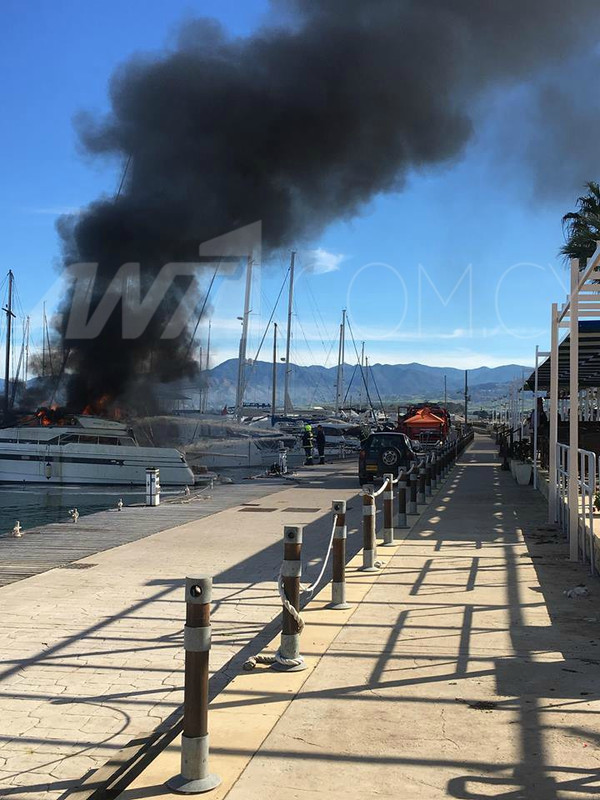 pyrkagia latsi333333 — Postimages