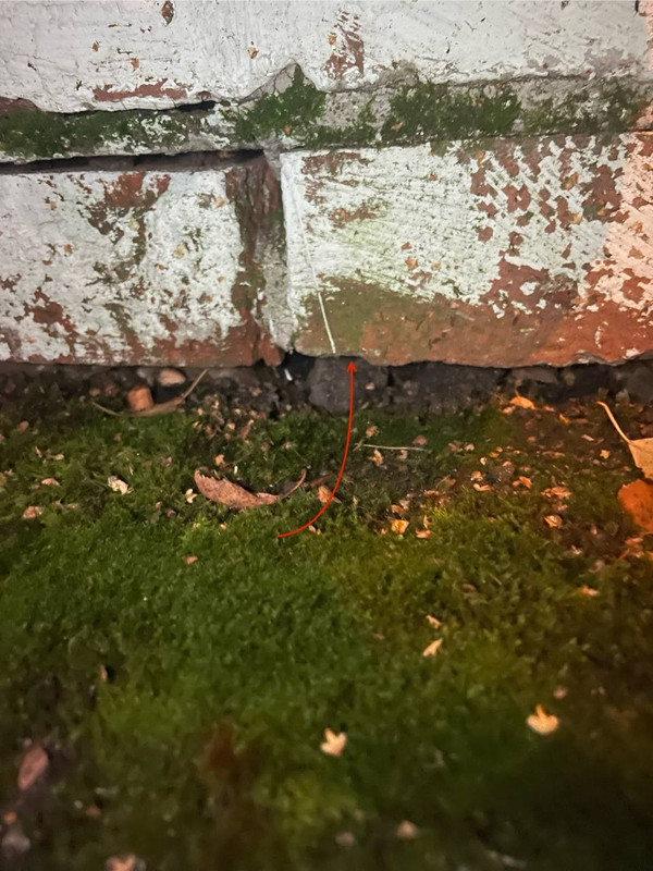 IMG 6653 — Postimages