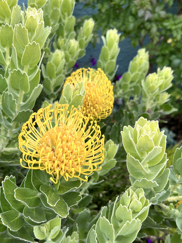 IMG 6718 — Postimages