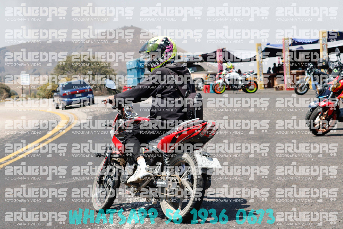 MG 1539 — Postimages