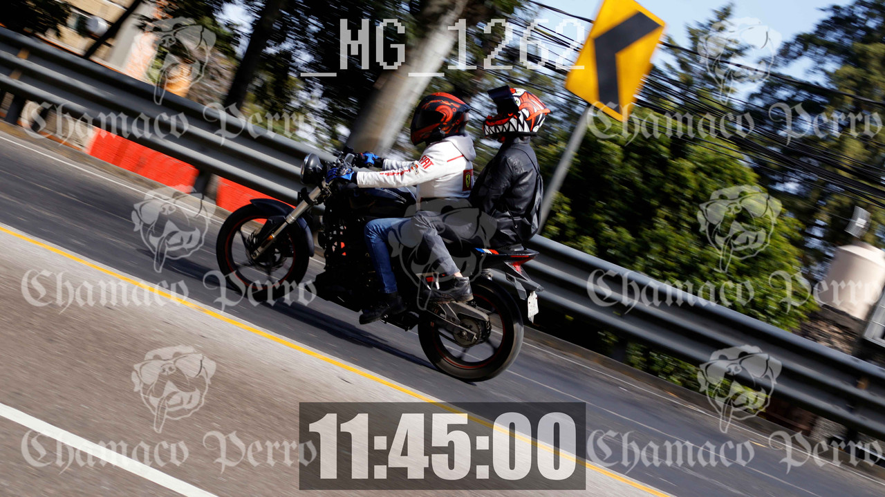 MUESTRA MG 1262 — Postimages