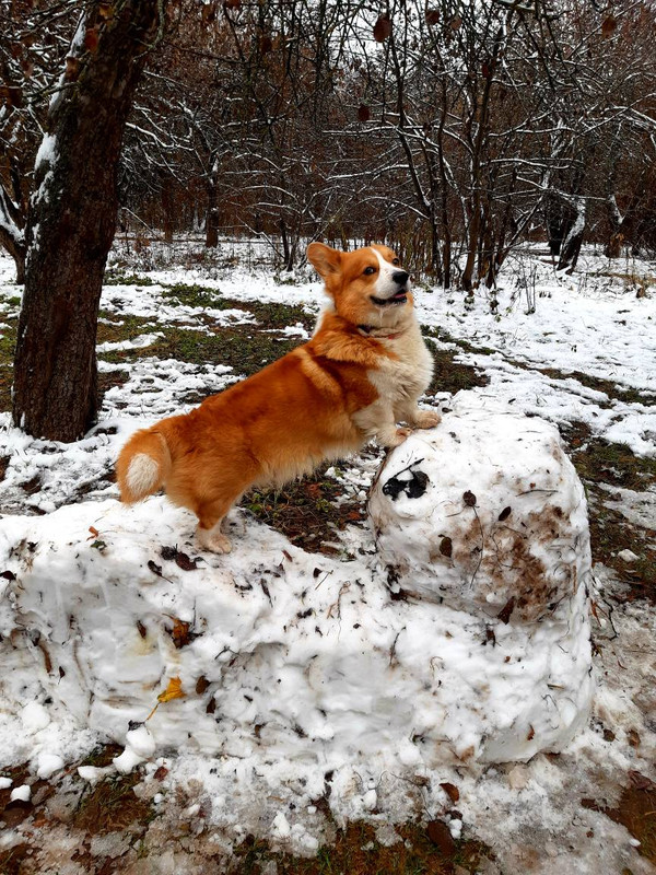 20231029 123333 — Postimages