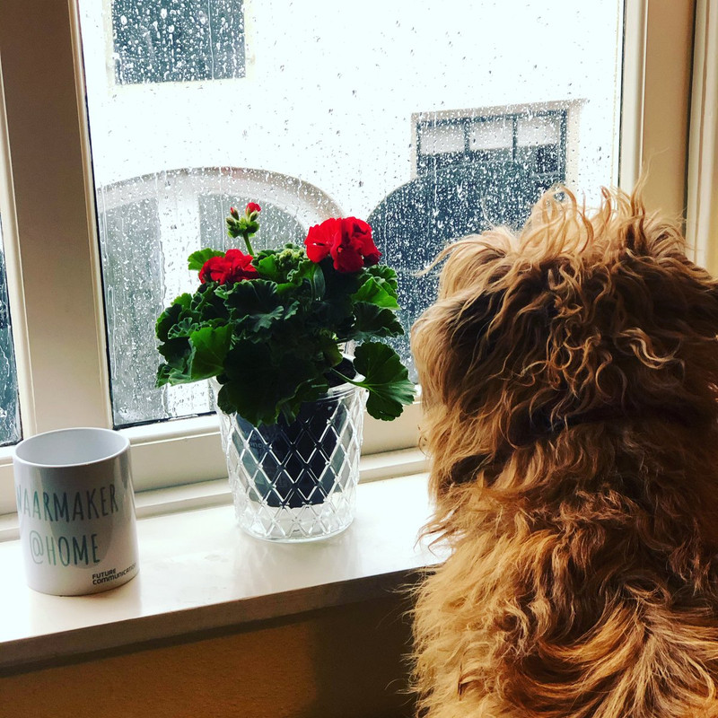 42 E961 A5 5 FB6 439 E 883 B 4780 B16 DB5 A7 — Postimages