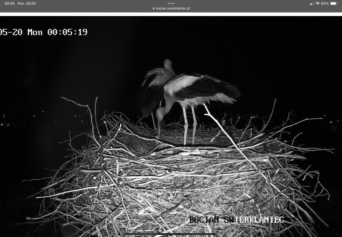 IMG 1019 — Postimages