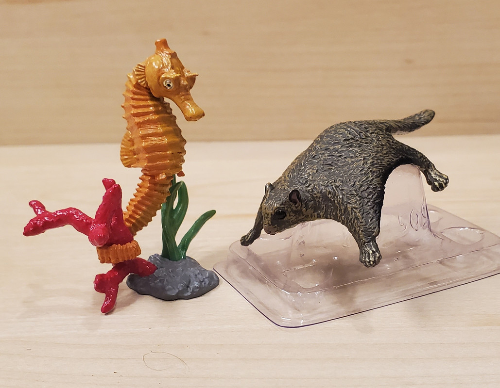 20230225 161841 — Postimages