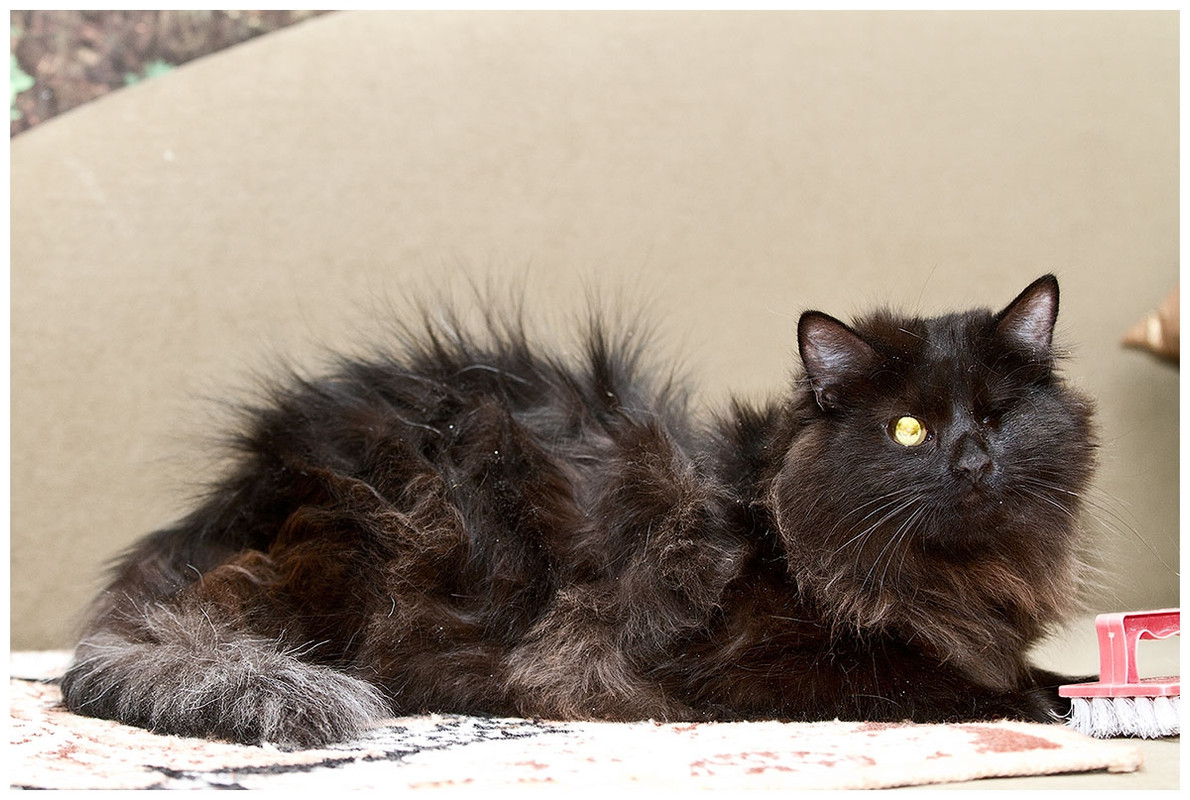 IMG 0499 — Postimages