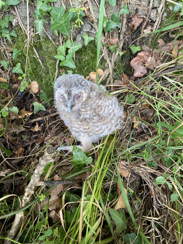 IMG 1802 — Postimages