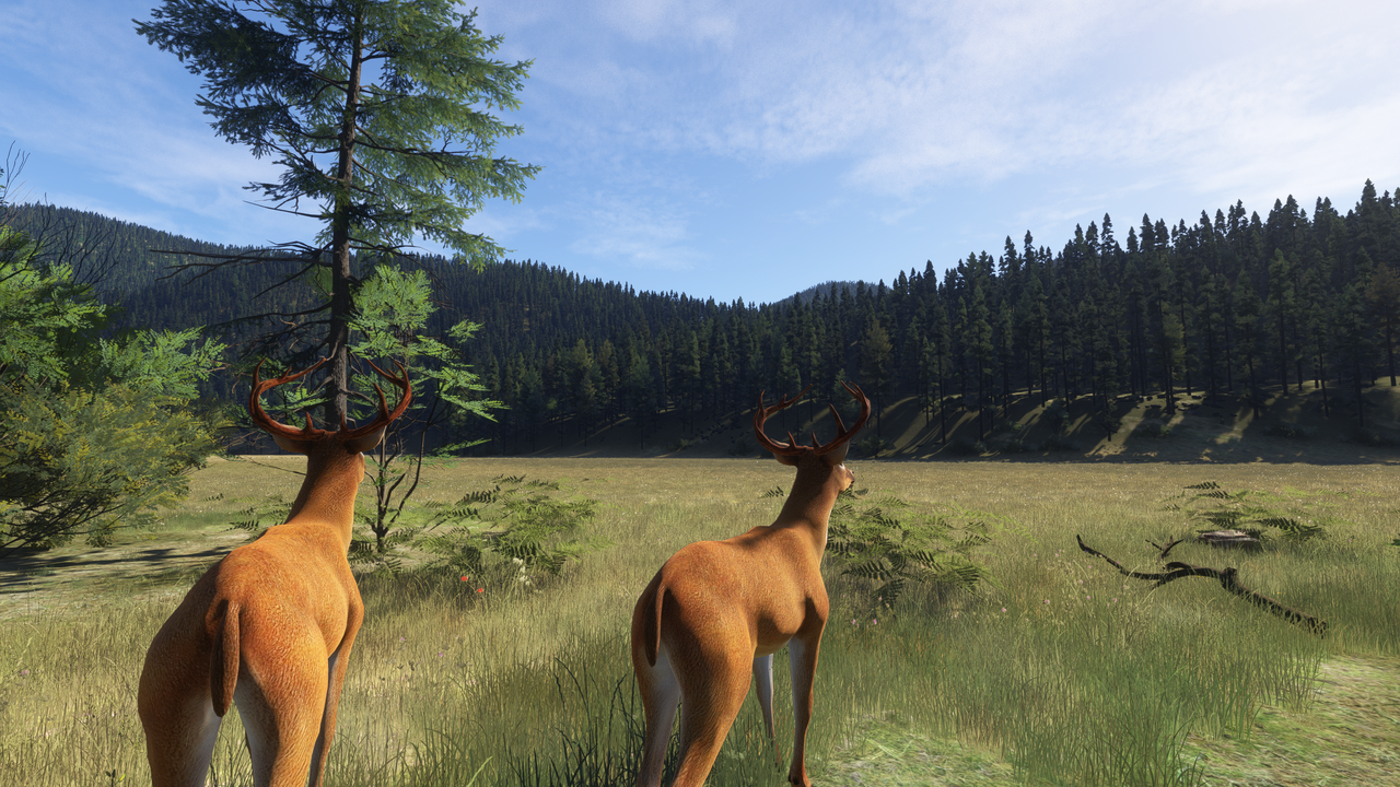 Some deer - The AVSIM Screen Shots Forum - The AVSIM Community