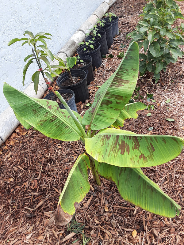 20221014 135154 — Postimages