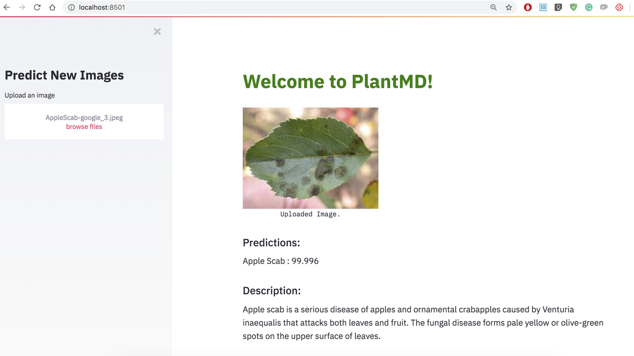 GitHub - upendrak/plantmd: Image-based plant disease prediction using CNNs