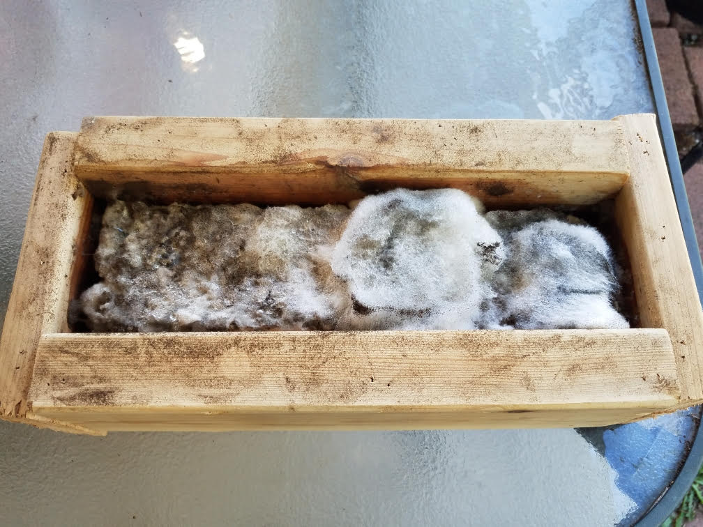 KNF and IMO "Indigenous Microorganisms" | Rollitup