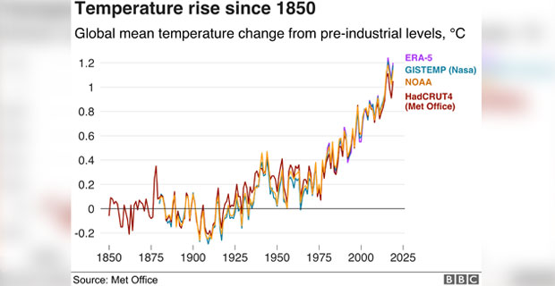 10 years to the end of 2019 confirmed as warmest decade on record
