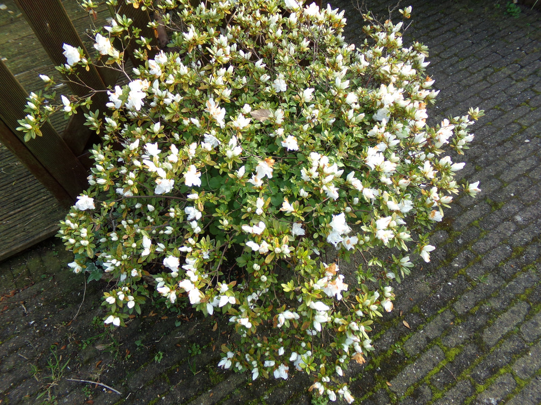 100 0220 — Postimages