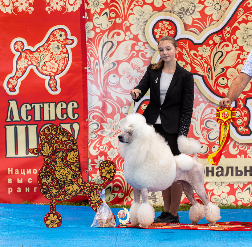 КЮХ 67 — Postimages