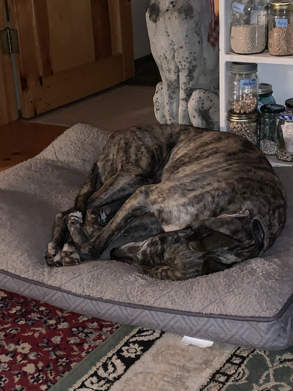 IMG 6665 — Postimages