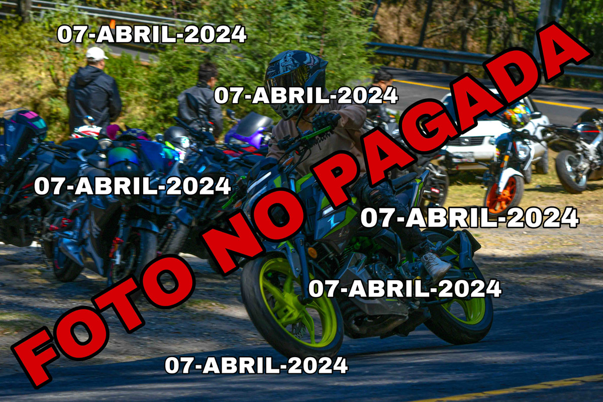 CC 4231 — Postimages