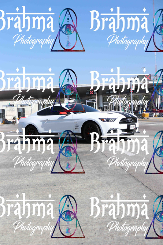 IMG 1214 — Postimages