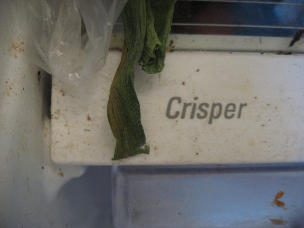 IMG 2572[1] — Postimages