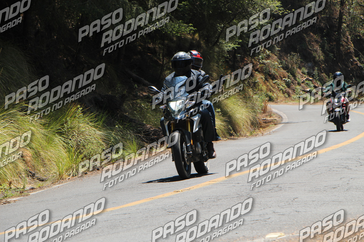 IMG 3689 wm 35772 5 watermarked — Postimages