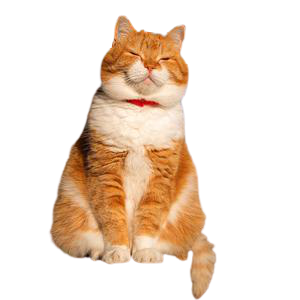 GitHub - Mhackiori/DUMB: Formalizing Attacker Scenarios for Adversarial Transferability