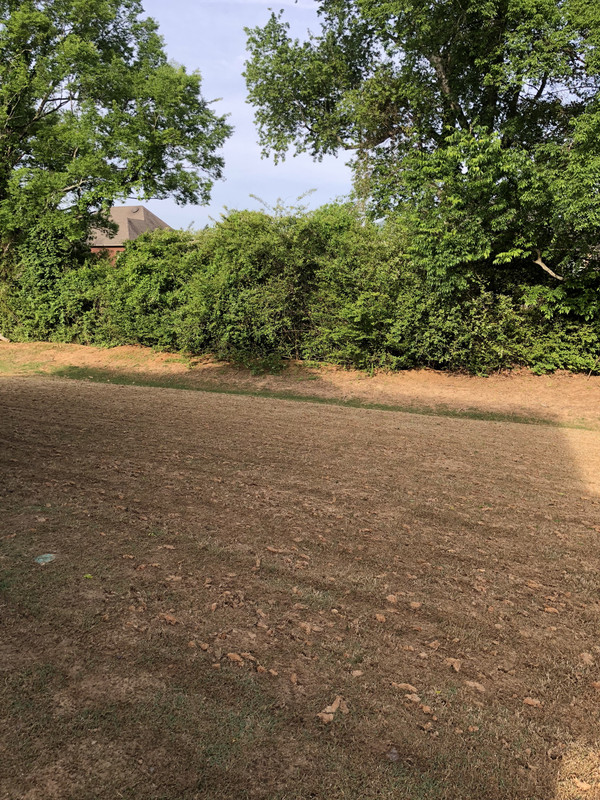 A9 A37 A1 C BABC 4402 A645 65289733763 E — Postimages