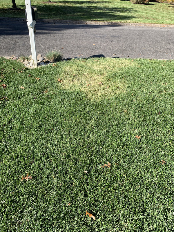 Tenacity in November? | Lawn Care Forum