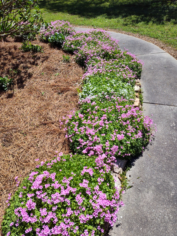 IMG 20240412 143617339 HDR — Postimages