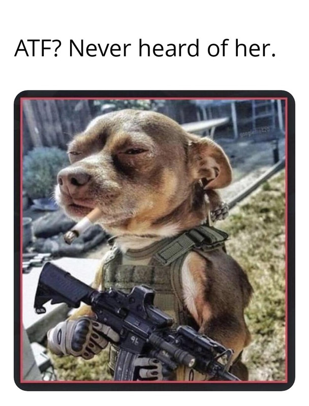 Post some memes > General Discussion > AR15.COM