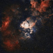 New Image: Fish Head Nebula (IC 1795) - The Sky Searchers