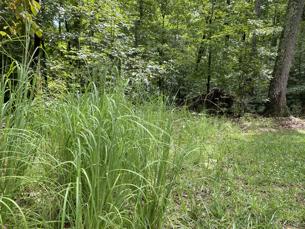 IMG 0266 — Postimages